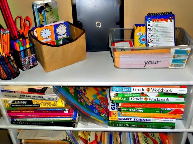 Homework for Kids Survival Series - Because Mom Says