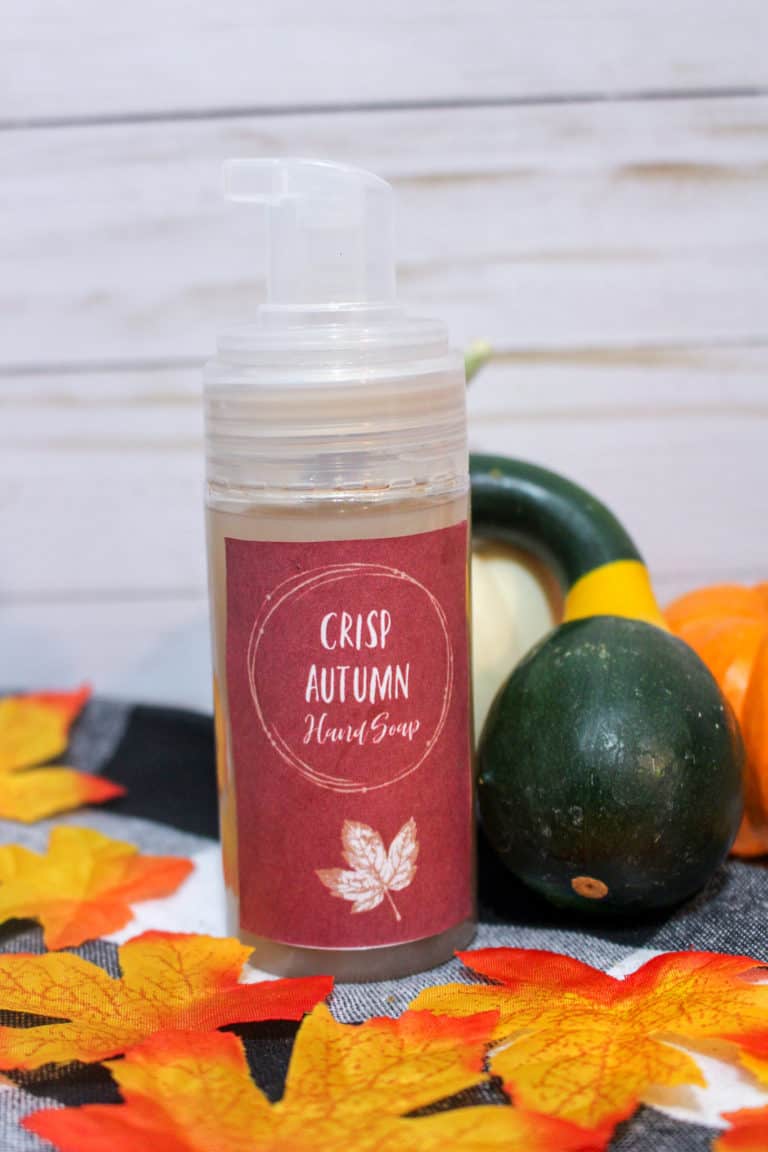 DIY Crisp Autumn Foaming Hand Soap - Because Mom Says