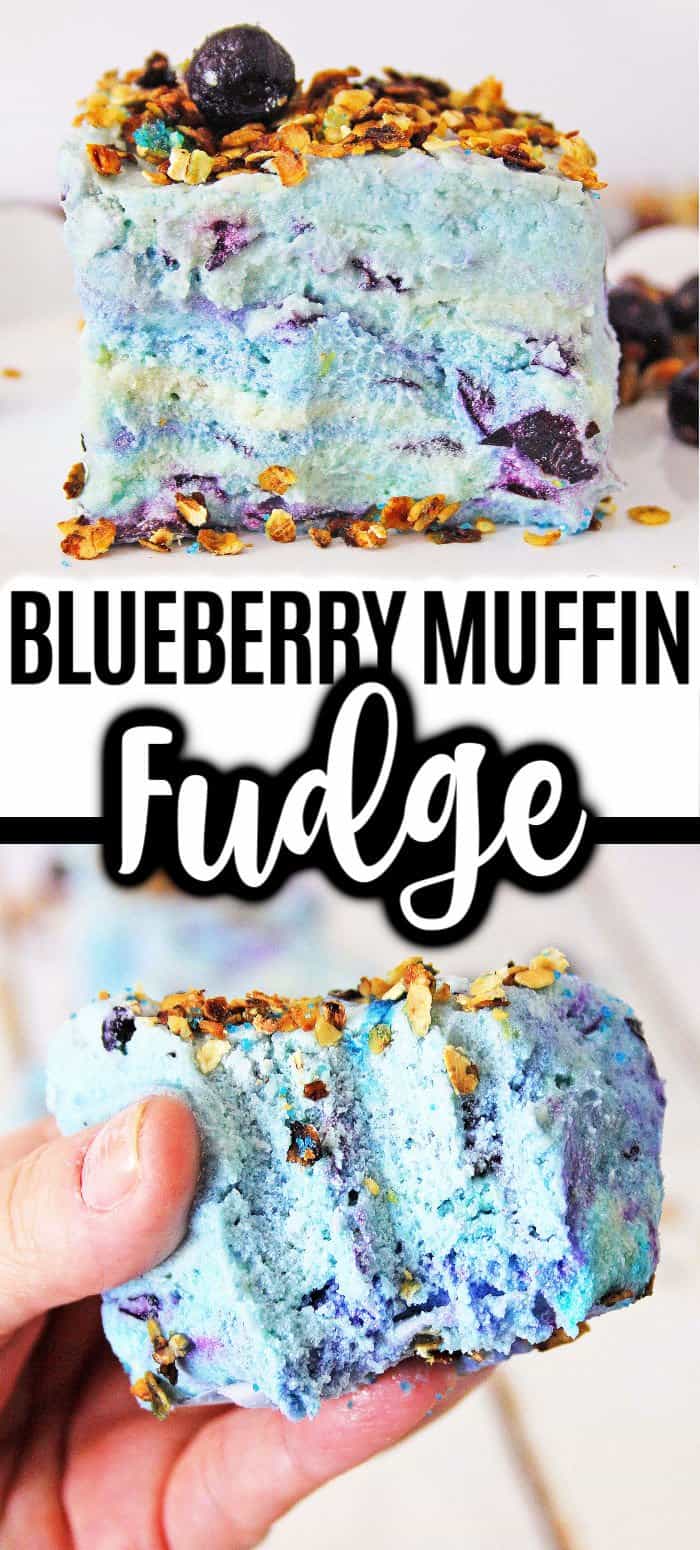 Blueberry Fudge - Because Mom Says