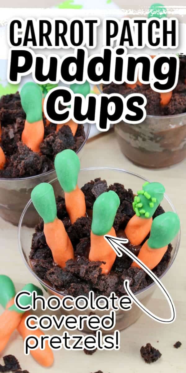 Infamous Carrot Patch Pudding Cups - Because Mom Says