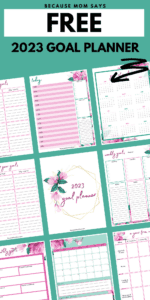 Free New Year Goal Planner 2023 - 2023